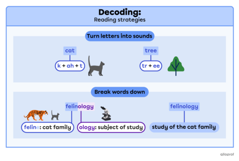 Decoding – Reading Strategies | Alloprof