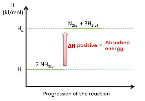 Endothermic Reactions in Detail | Alloprof