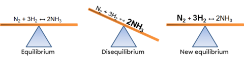 The Influence of Concentration on Equilibrium State | Secondaire | Alloprof