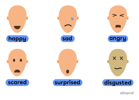 Emotions & Feelings – Vocabulary | Alloprof