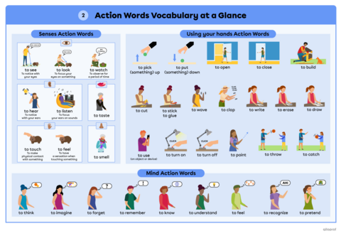 Action Words (Verbs) – Vocabulary | Alloprof