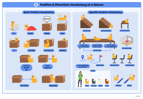 What Is the Vocabulary for Position & Directions? | Grades 3-6 | Alloprof