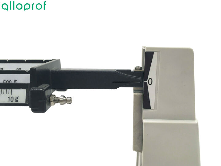 The Mass Measurement of a Solid | Alloprof