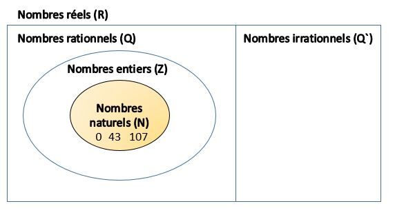 Les nombres naturels (N) | Secondaire | Alloprof