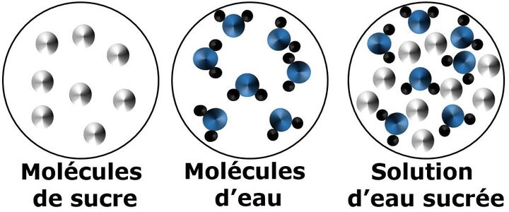 La dissolution | Secondaire | Alloprof