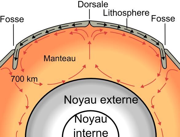 Les plaques tectoniques | Alloprof