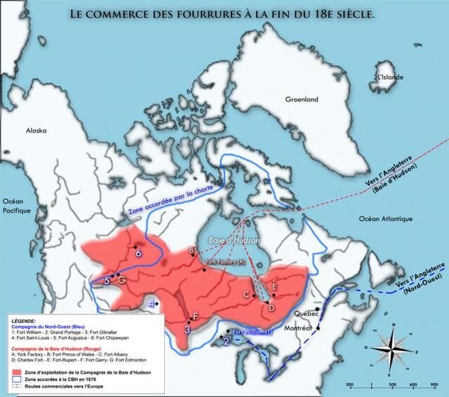 Le commerce des fourrures | Secondaire | Alloprof