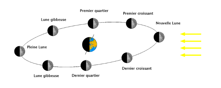 Les phases de la Lune | Secondaire | Alloprof