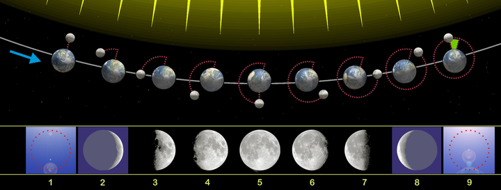 Les phases de la Lune | Secondaire | Alloprof