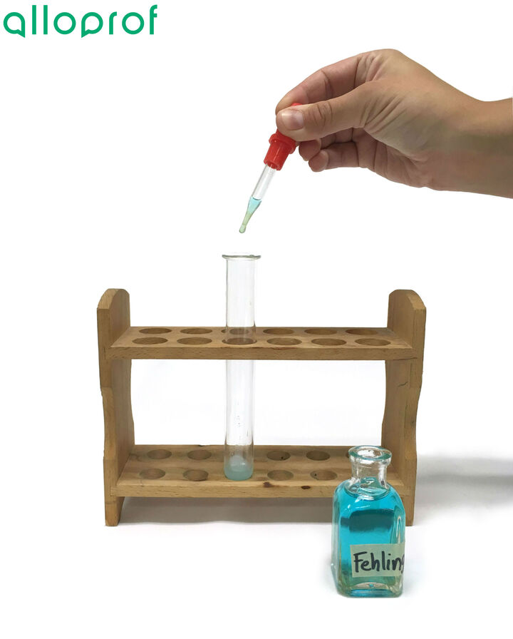 L'identification des substances nutritives | Alloprof