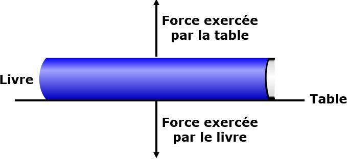 La troisième loi de Newton | Secondaire | Alloprof