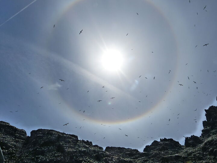 Luminous Phenomena | Secondaire | Alloprof