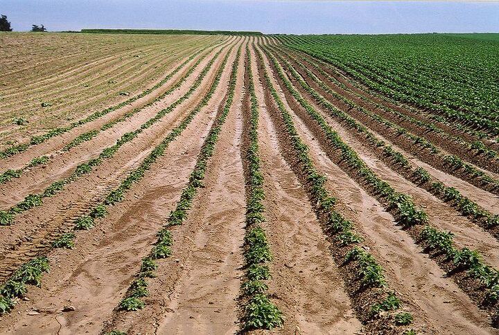 Erosion | Secondaire | Alloprof