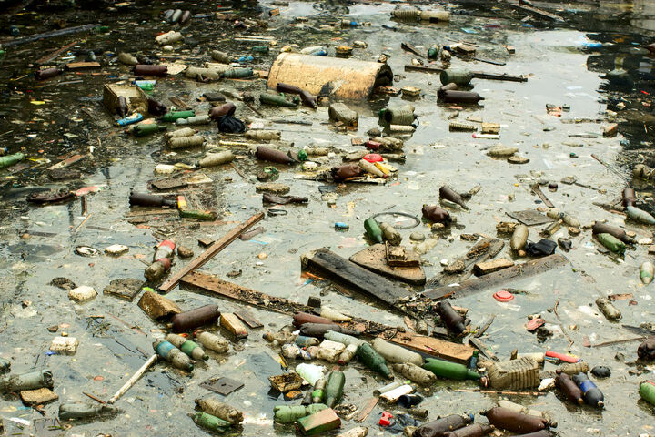Les problèmes environnementaux : les conséquences | Secondaire | Alloprof