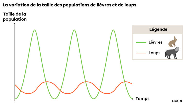 Les cycles biologiques et la croissance de la population | Secondaire ...