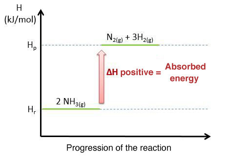Endothermic and Exothermic Reactions | Secondaire | Alloprof