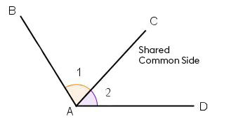 Relationships Between Angles | Secondaire | Alloprof