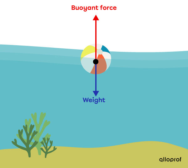 The Principles of Archimedes, Pascal and Bernoulli | Secondaire | Alloprof