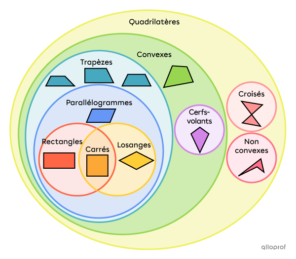Les quadrilatères | Secondaire | Alloprof