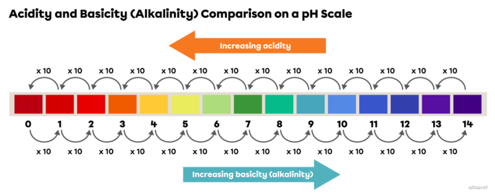 The pH Scale and Acid-Base Indicators | Secondaire | Alloprof