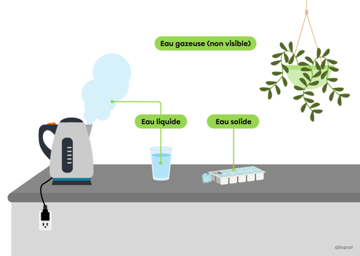 Les états de la matière | Secondaire | Alloprof