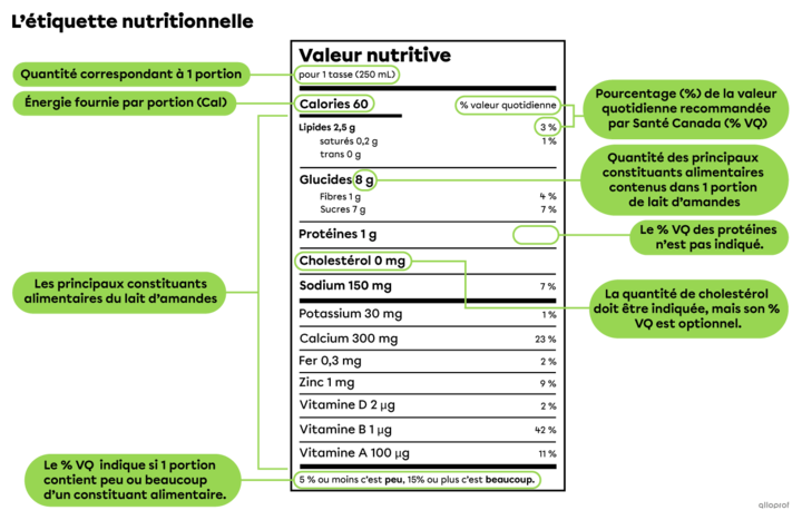 Les besoins énergétiques et nutritionnels | Secondaire | Alloprof