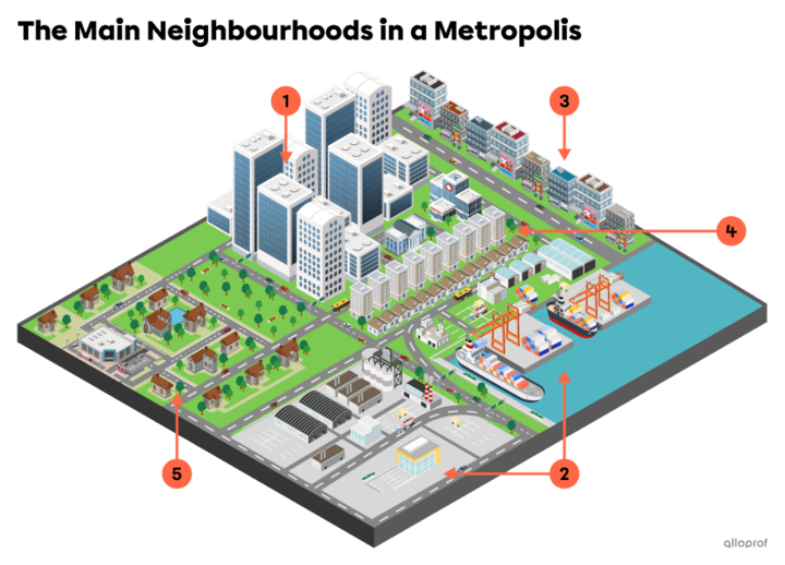 The Planning and Development of a Metropolis | Secondaire | Alloprof