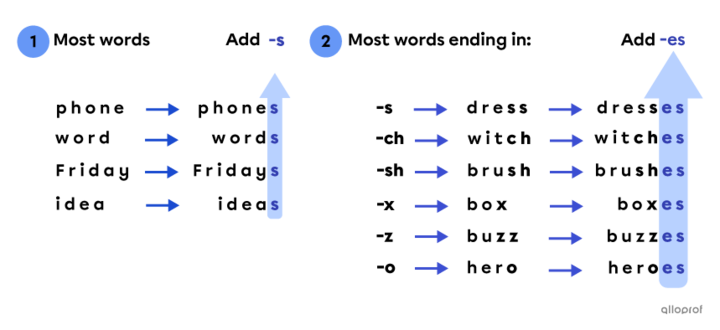 Plural Spellings—Spelling Rules | Alloprof