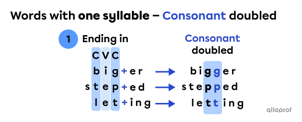 Double Consonants—Spelling Rules | Alloprof