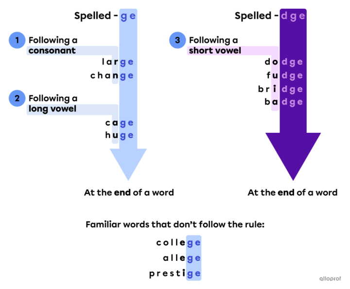 Sounds & Spelling—Spelling Rules | Alloprof