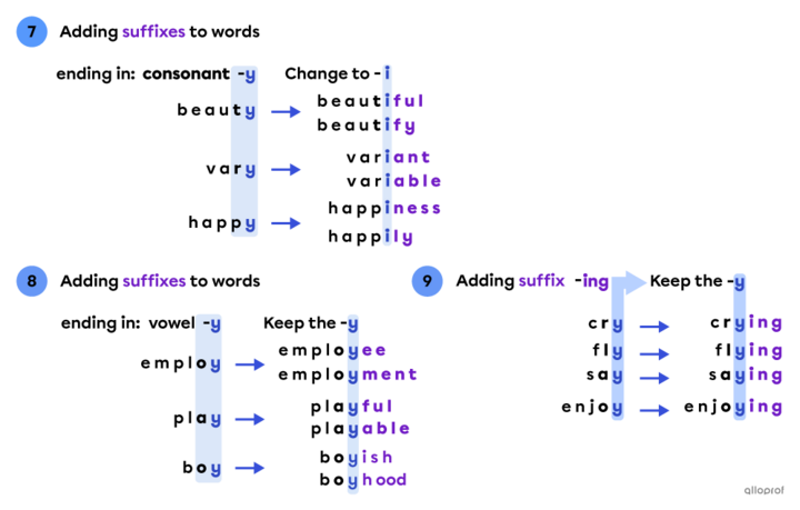 Words Ending in -Y—Spelling Rules | Alloprof