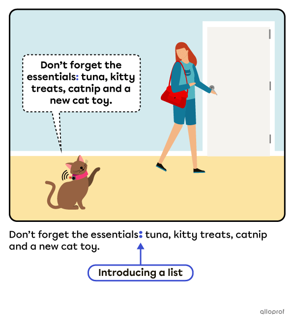 Punctuation—The Colon (:) & the Semicolon (;) | Alloprof