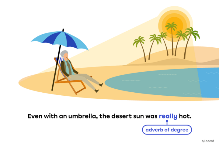 Adverbs of Degree | Alloprof