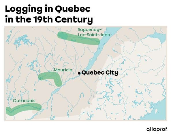 The Timber Trade | Secondaire | Alloprof