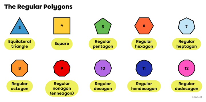 The Perimeter and the Area of Regular Polygons | Secondaire | Alloprof