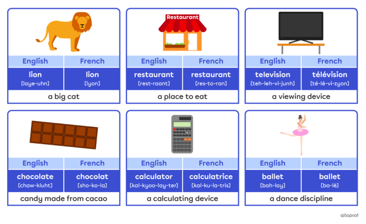 Cognates (True Friends) | Alloprof