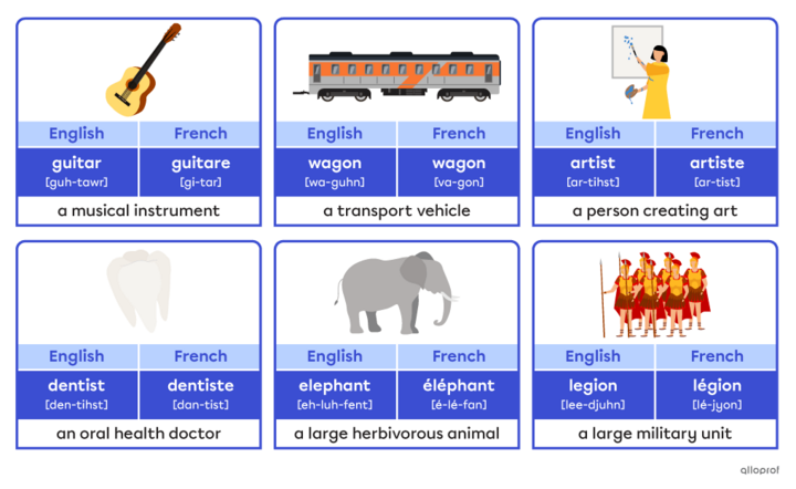 Cognates (True Friends) | Alloprof