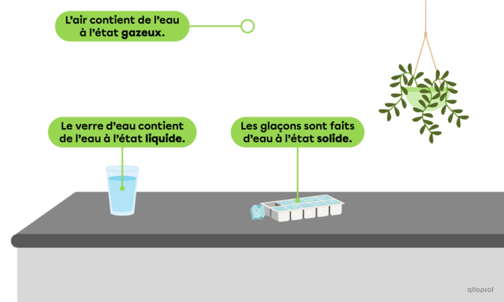 L’état solide, liquide et gazeux | Primaire | Alloprof