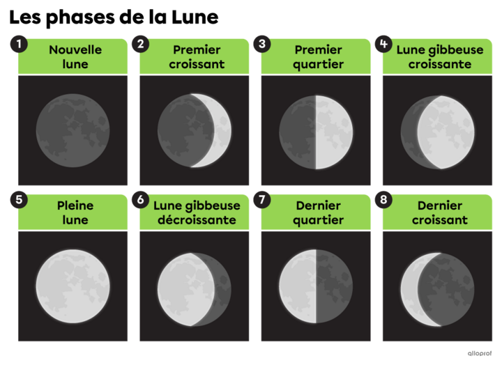 Les phases de la Lune | Primaire | Alloprof