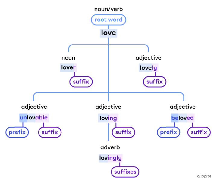 Prefixes & Suffixes | Alloprof
