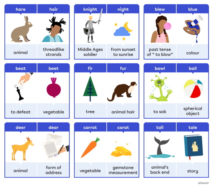 Homonyms, Homophones & Homographs | Alloprof