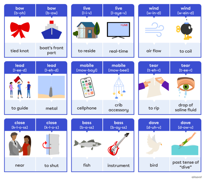 Homonyms, Homophones & Homographs | Alloprof