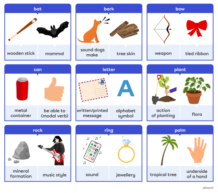 Homonyms, Homophones & Homographs | Alloprof