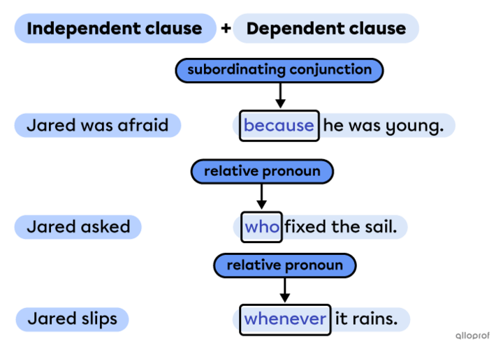 Compound & Complex Sentences | Examples and Definition