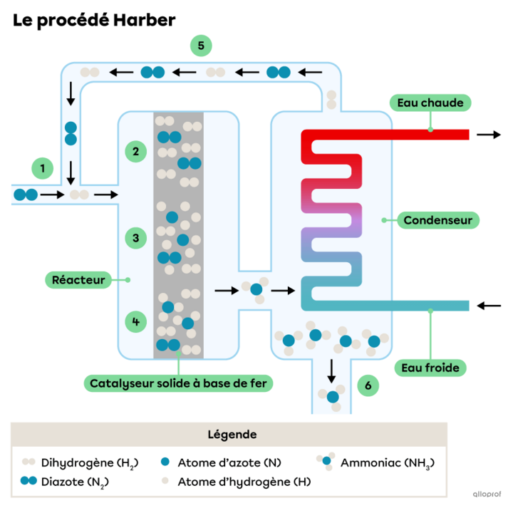 Les catalyseurs | Alloprof
