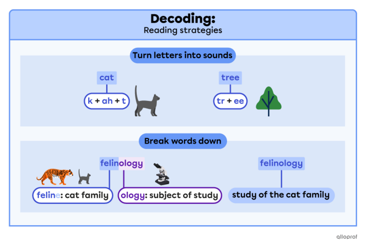 Decoding – Reading Strategies | Alloprof