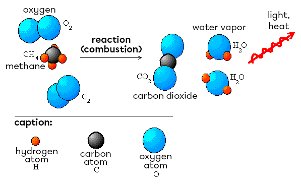 Endothermic and Exothermic Reactions | Alloprof