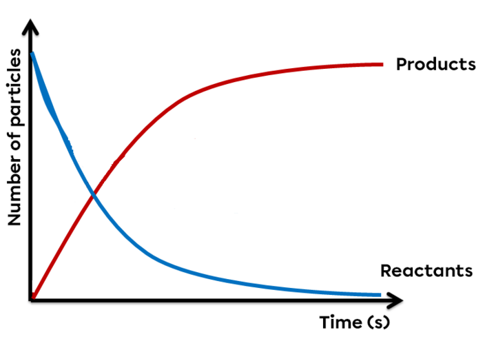 Chemical Equilibrium | Alloprof