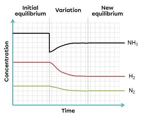 The Influence of Concentration on Equilibrium State | Secondaire | Alloprof