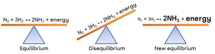 The Influence of Temperature on Equilibrium State | Alloprof